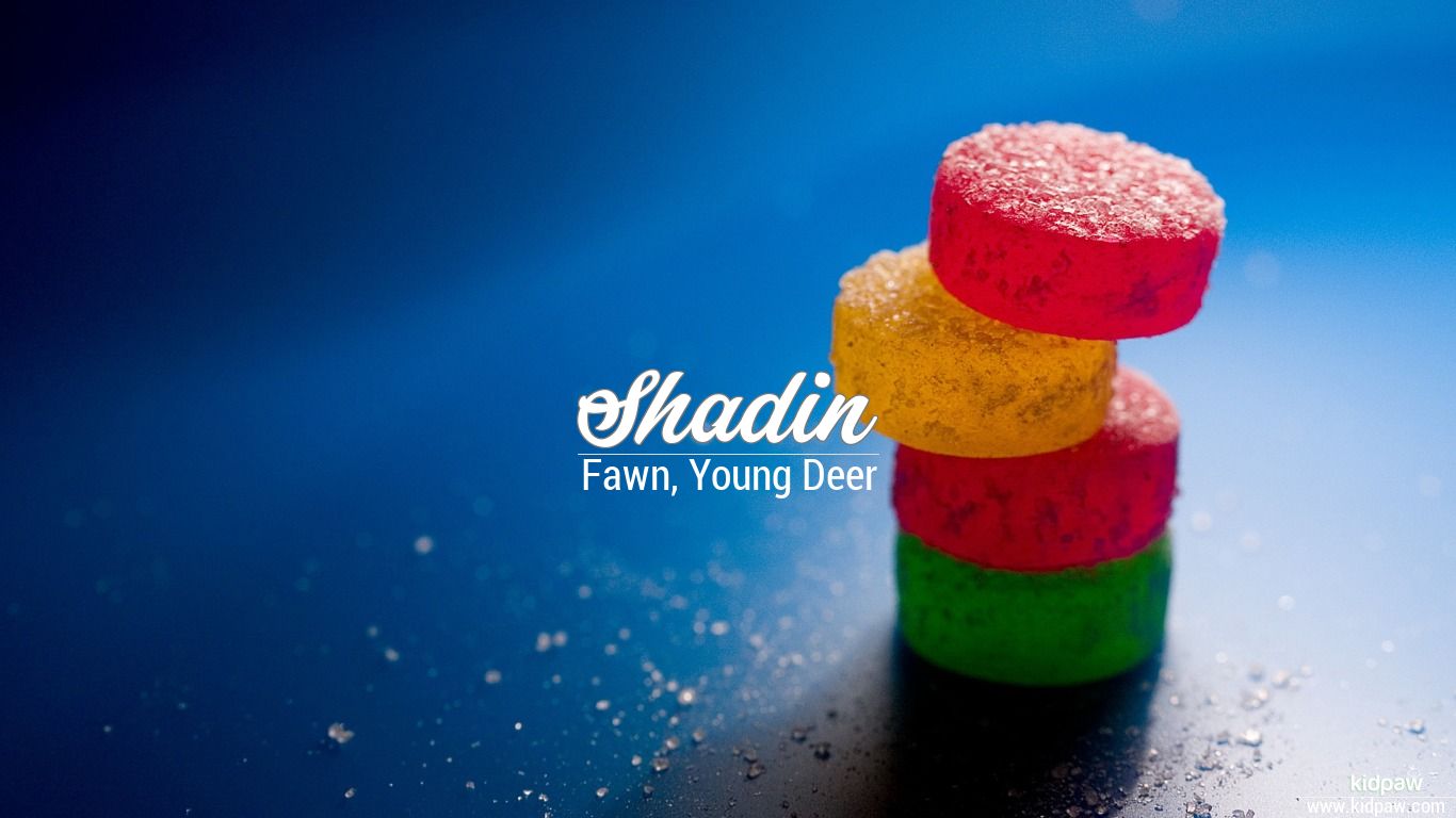 Shadin 3D Name Wallpaper for Mobile, Write شدن Name on Photo Online