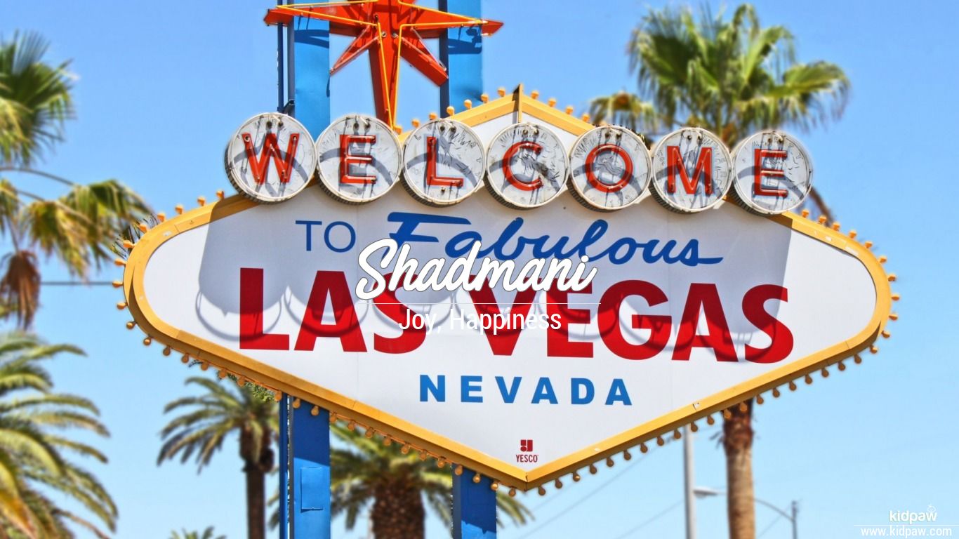 Shadmani 3D Name Wallpaper for Mobile, Write شادمانی Name on Photo Online