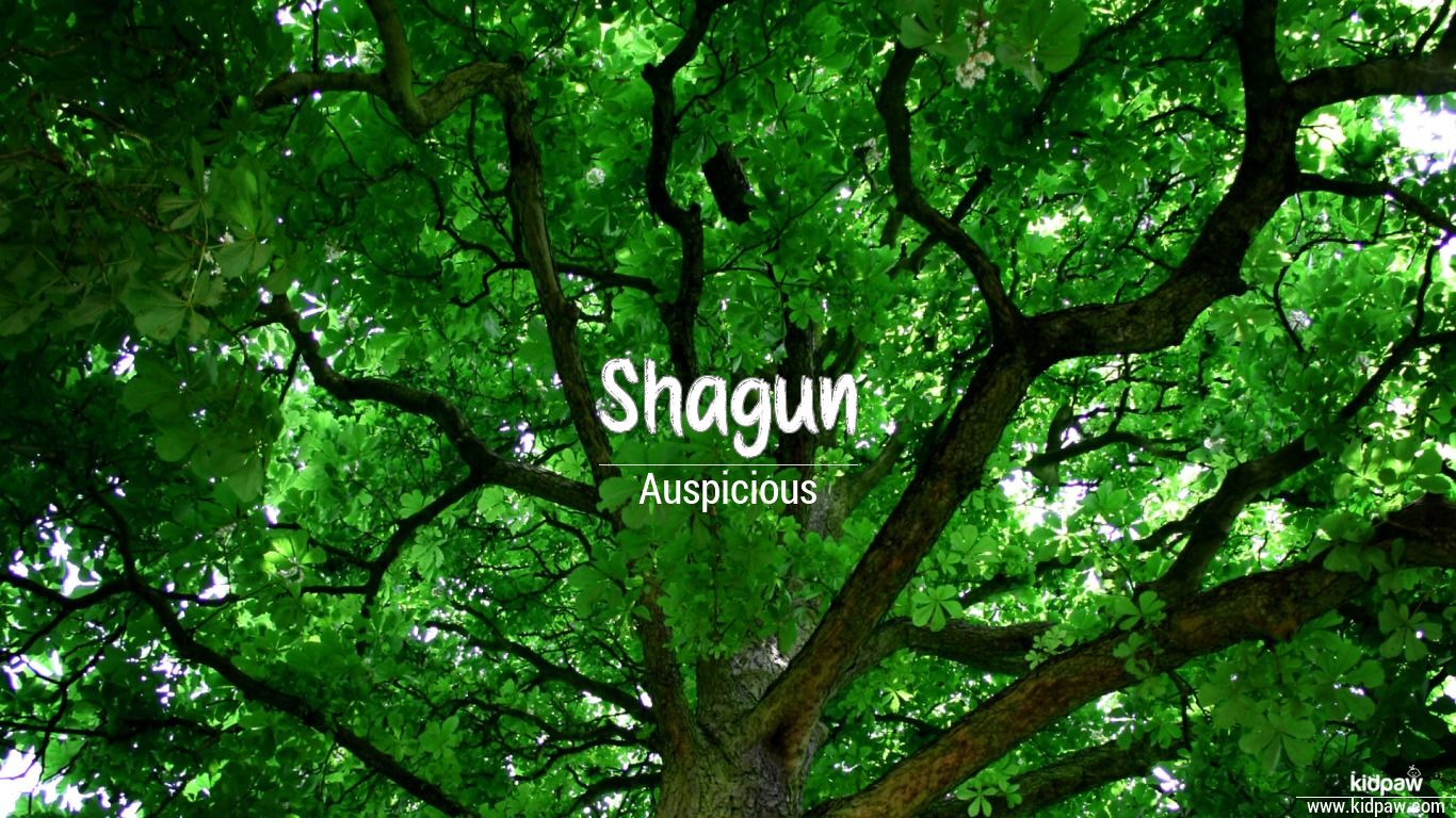शगुन | Shagun Name Meaning in Hindi & English, Rashi, Nakshatra, Origin ...