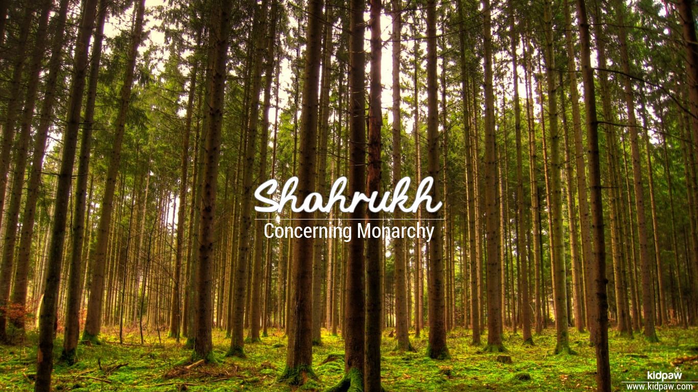 Shahrukh Name Meaning in English & Urdu, Origin, Luck Number