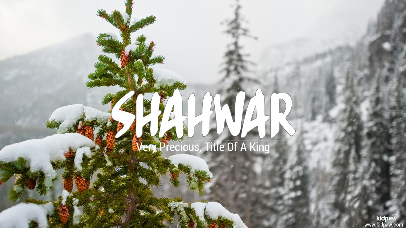 Shahwar 3D Name Wallpaper for Mobile, Write شہوار Name on Photo Online