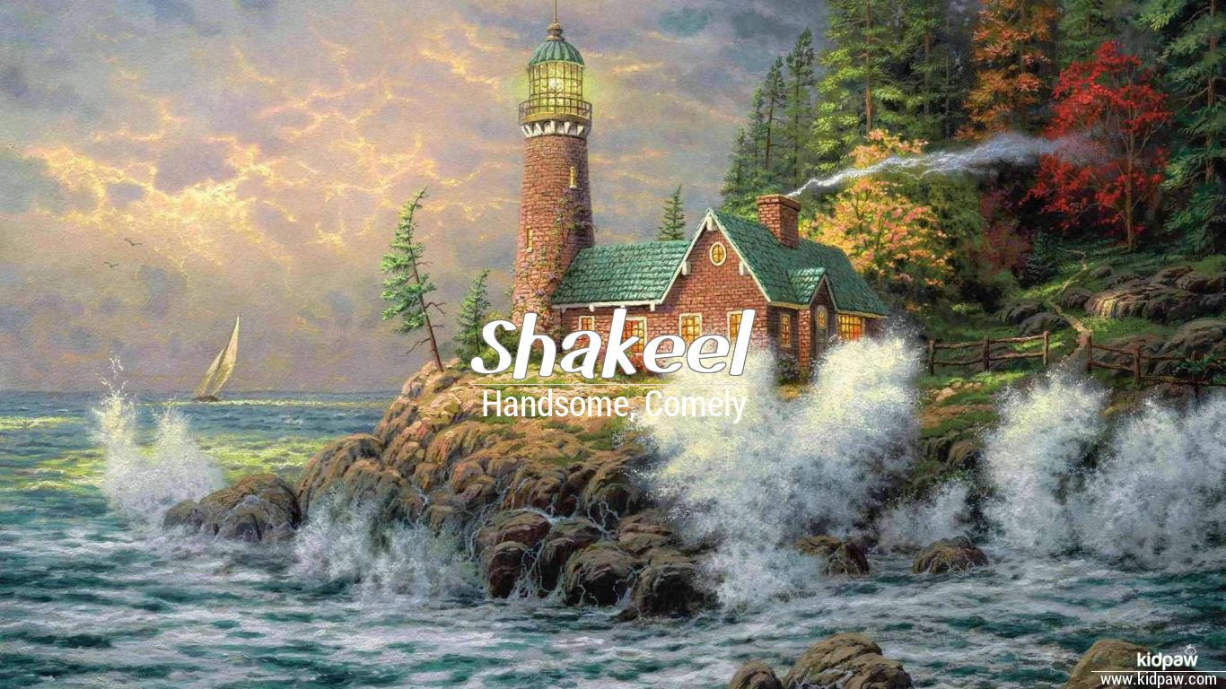 Shakeel Name Meaning in English & Urdu, Origin, Luck Number