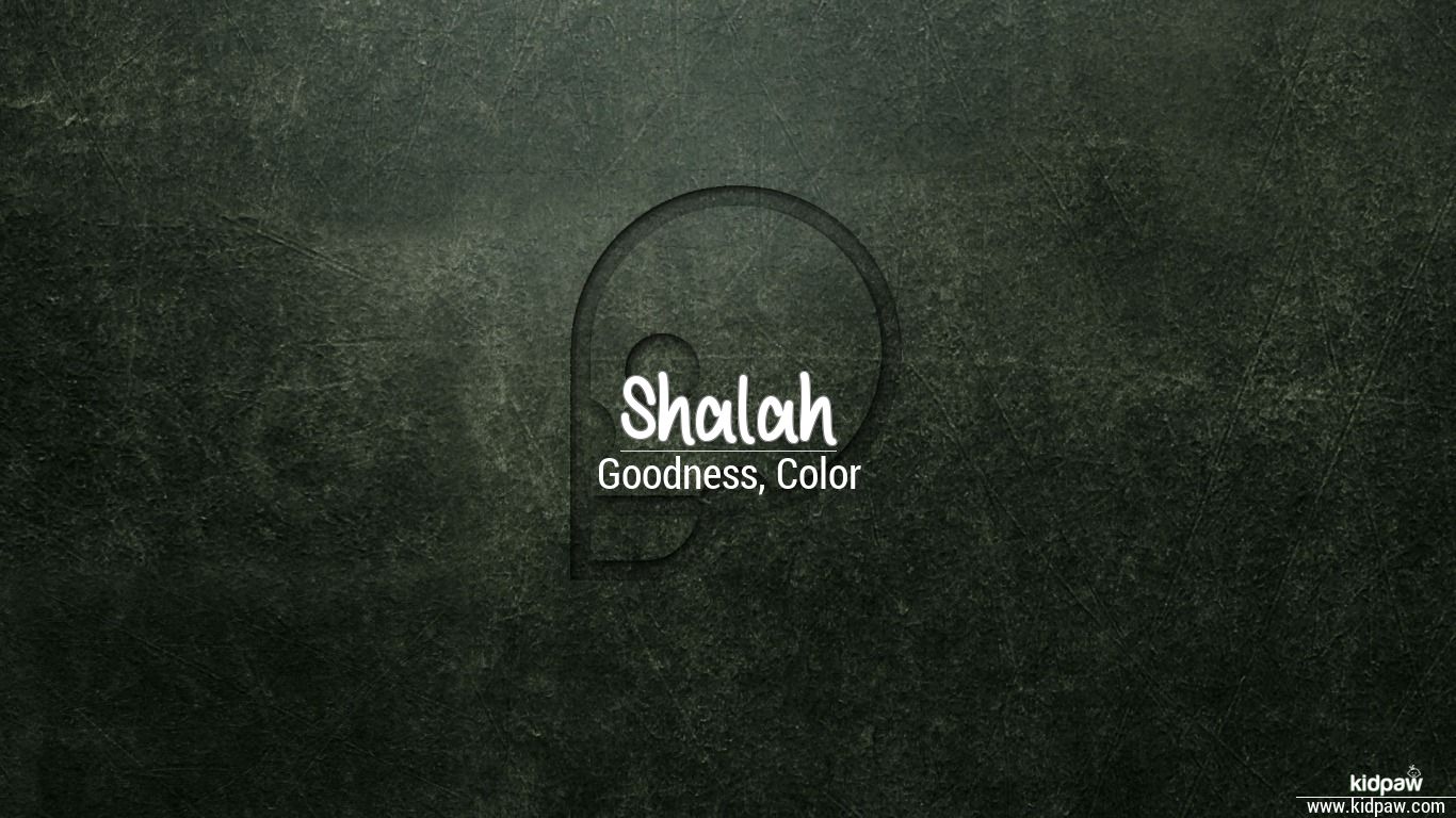 Shalah 3D Name Wallpaper for Mobile, Write شالہ Name on Photo Online