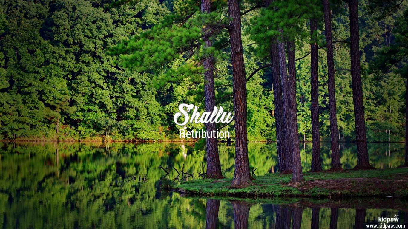 Shallu 3D Name Wallpaper for Mobile, Write शाल्लुं Name on Photo Online