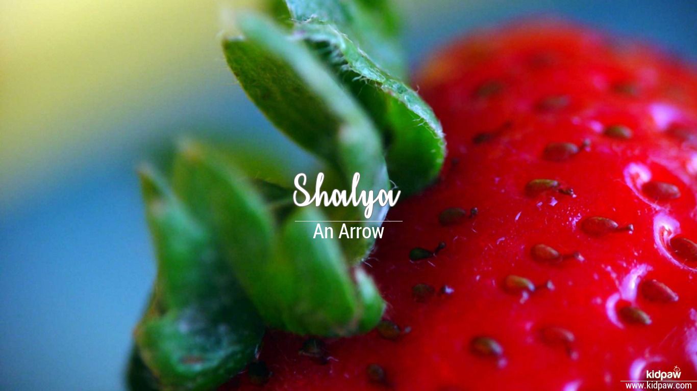 Shalya 3D Name Wallpaper for Mobile, Write शल्य Name on Photo Online