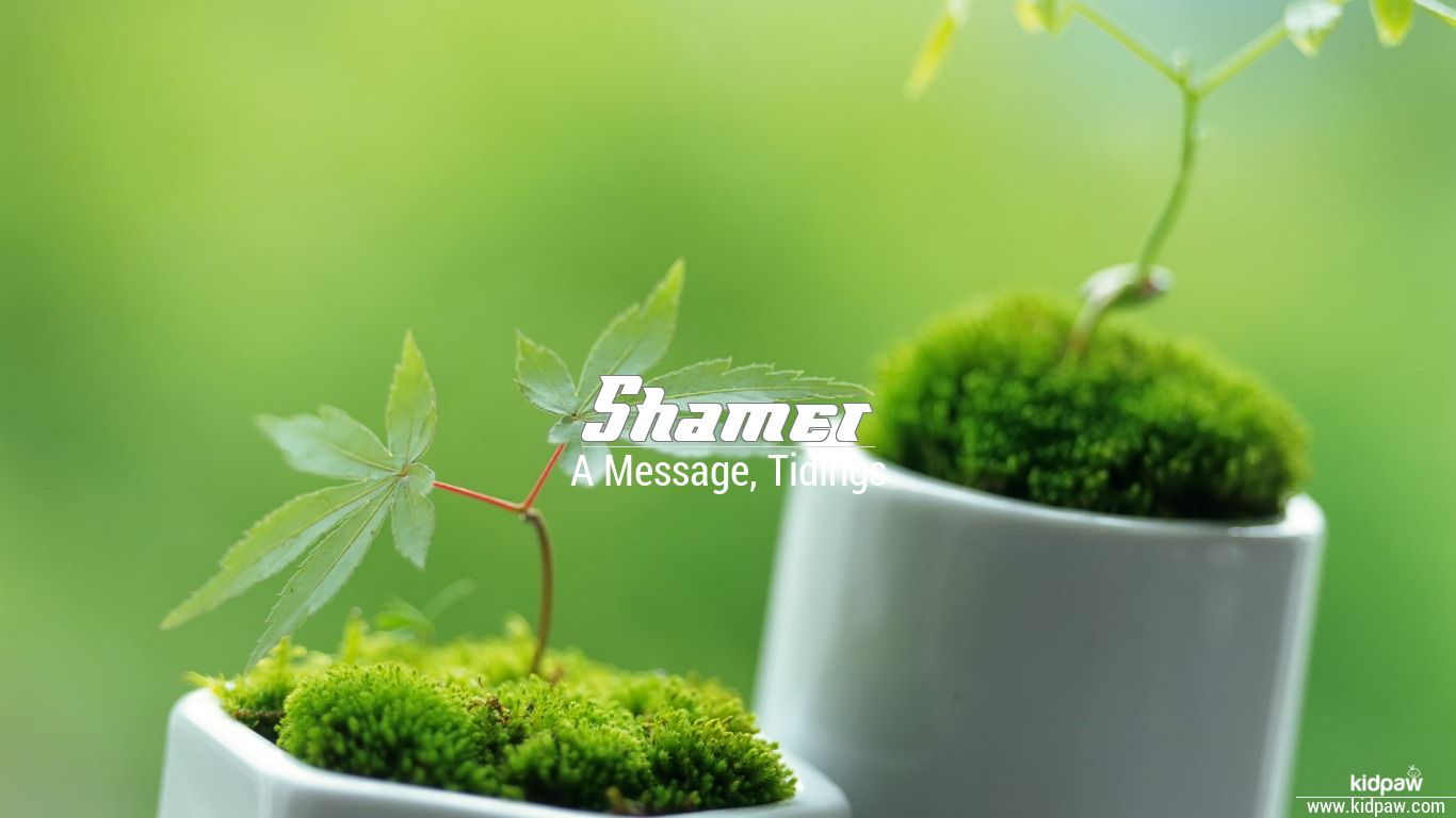 Shamer 3D Name Wallpaper for Mobile, Write Name on Photo Online