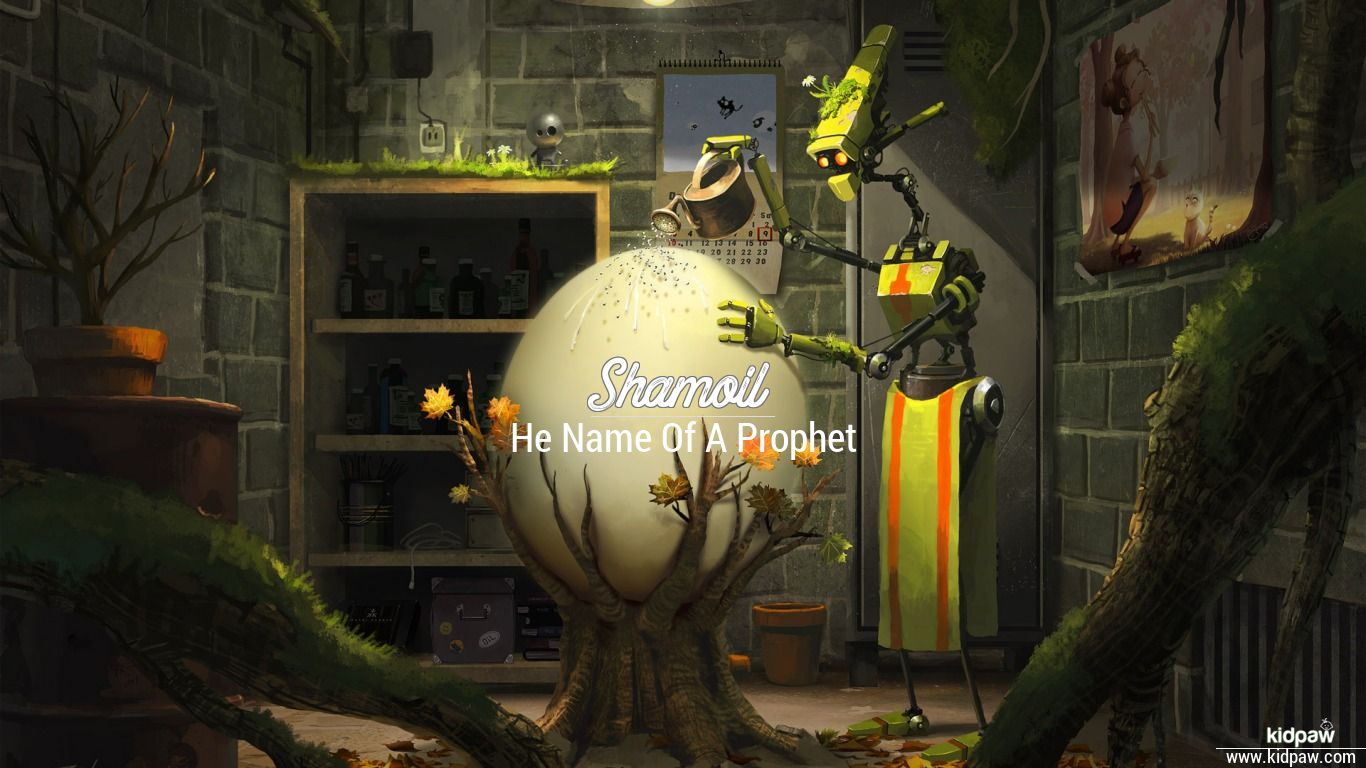 Shamoil 3D Name Wallpaper for Mobile, Write شمول Name on Photo Online