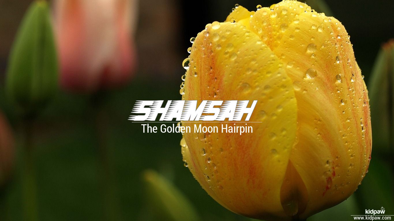 Shamsah 3D Name Wallpaper for Mobile, Write Name on Photo Online