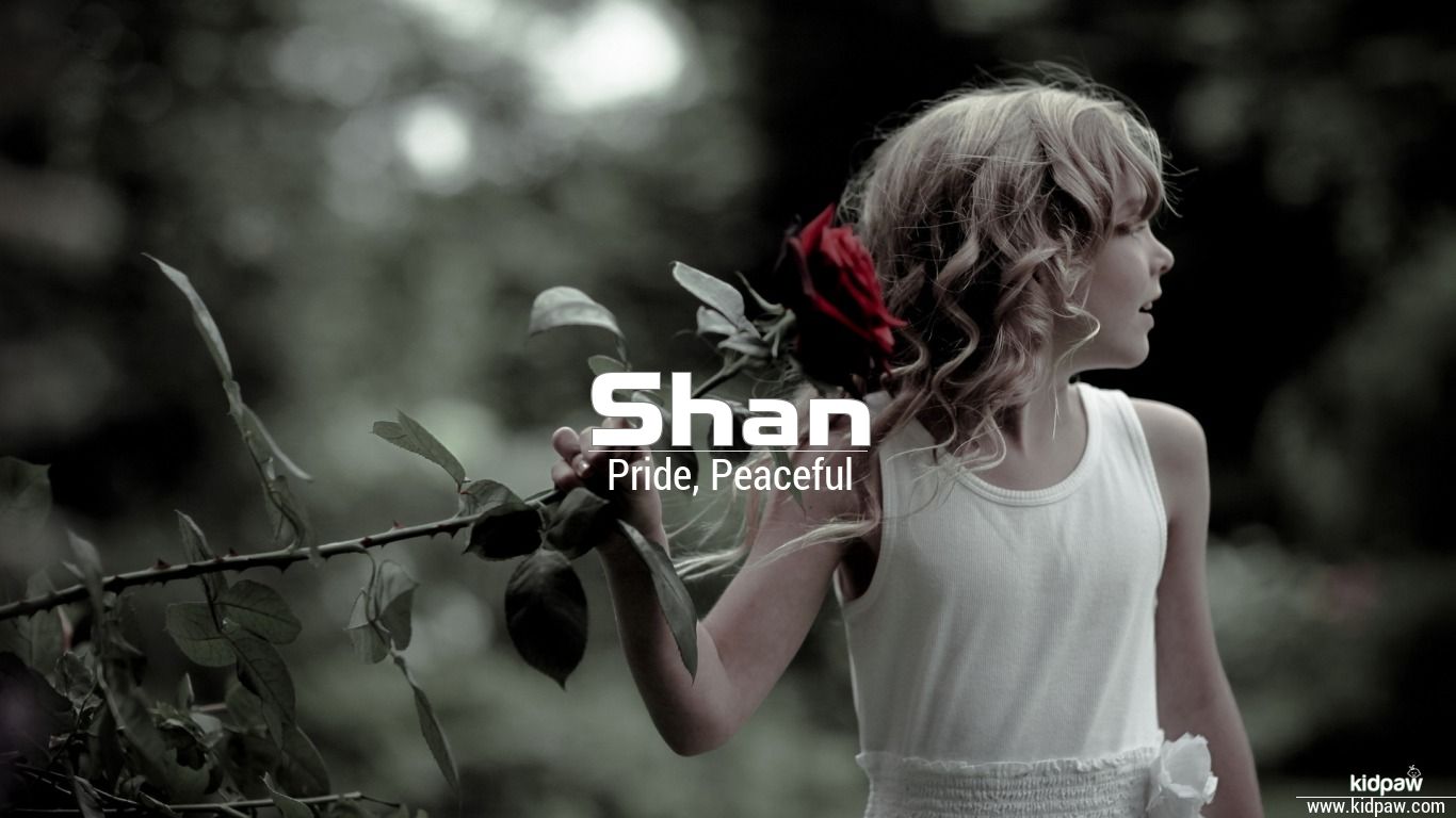 Shan Name Meaning in English & Urdu, Origin, Luck Number