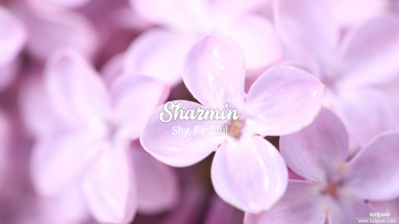 Sharmin 3D Name Wallpaper for Mobile, Write شرمن Name on Photo Online