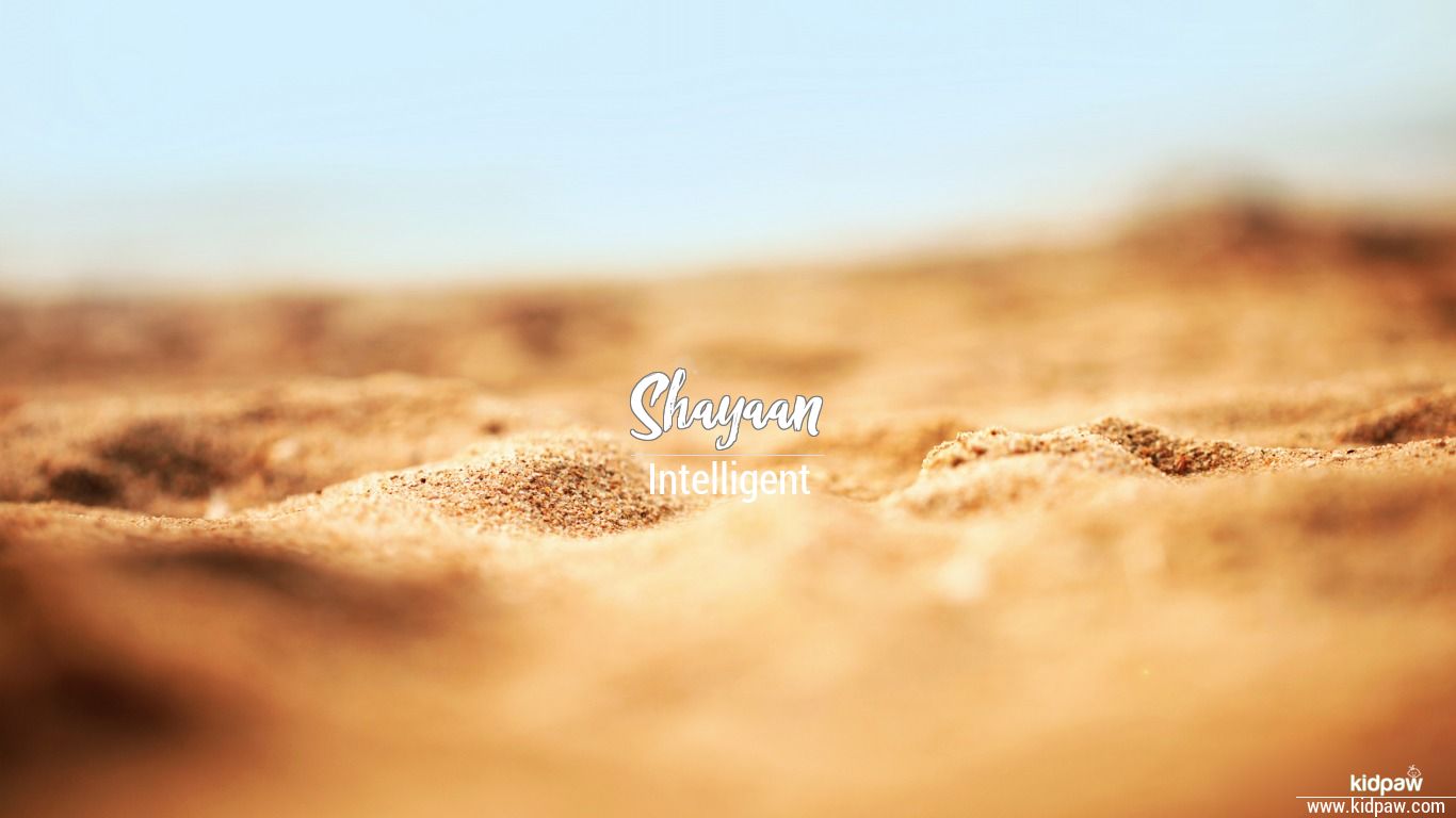 Shayaan Name Meaning in English & Urdu, Origin, Luck Number