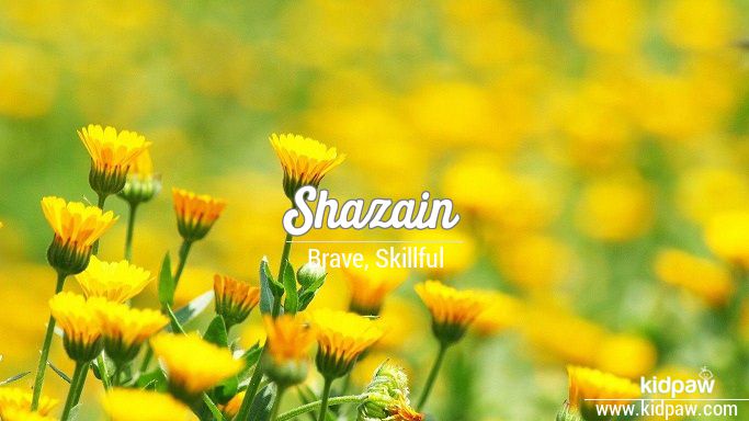 Shazain 3D Name Wallpaper for Mobile, Write شازین Name on Photo Online