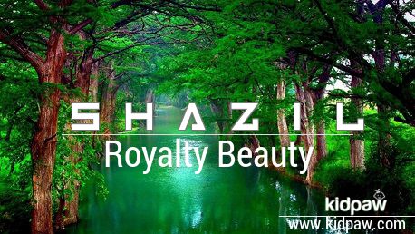 Shazil Name Meaning in English & Urdu, Origin, Luck Number