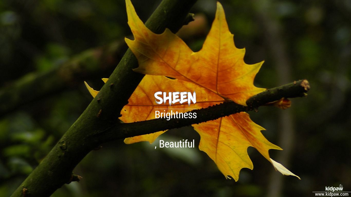 Sheen 3D Name Wallpaper for Mobile, Write شین Name on Photo Online