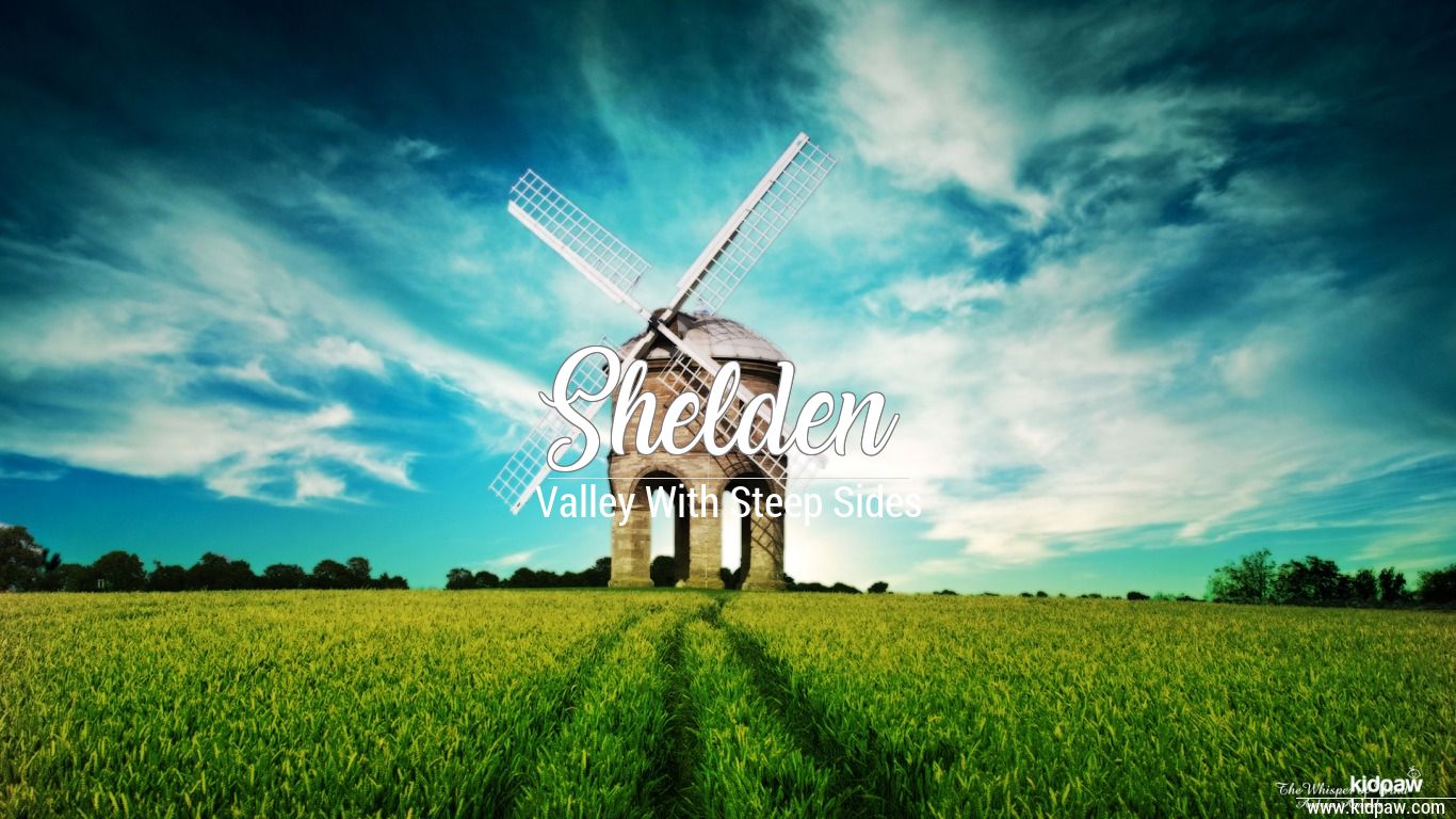 Shelden 3D Name Wallpaper for Mobile, Write Name on Photo Online