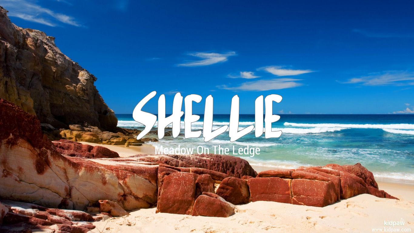 Shellie 3D Name Wallpaper for Mobile, Write Name on Photo Online