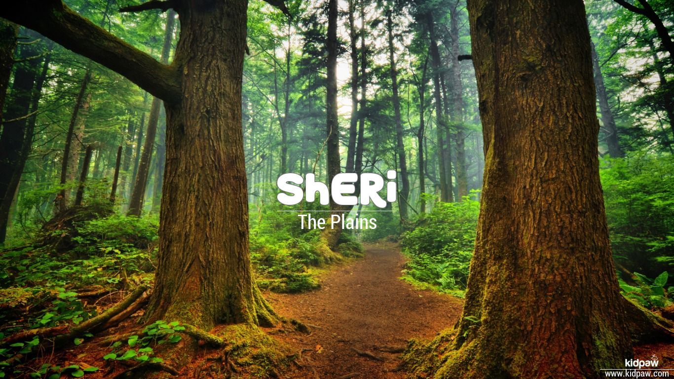 Sheri 3D Name Wallpaper for Mobile, Write Name on Photo Online