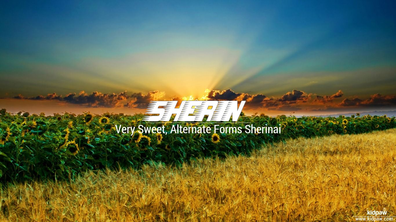 Sherin 3D Name Wallpaper for Mobile, Write شیریں Name on Photo Online