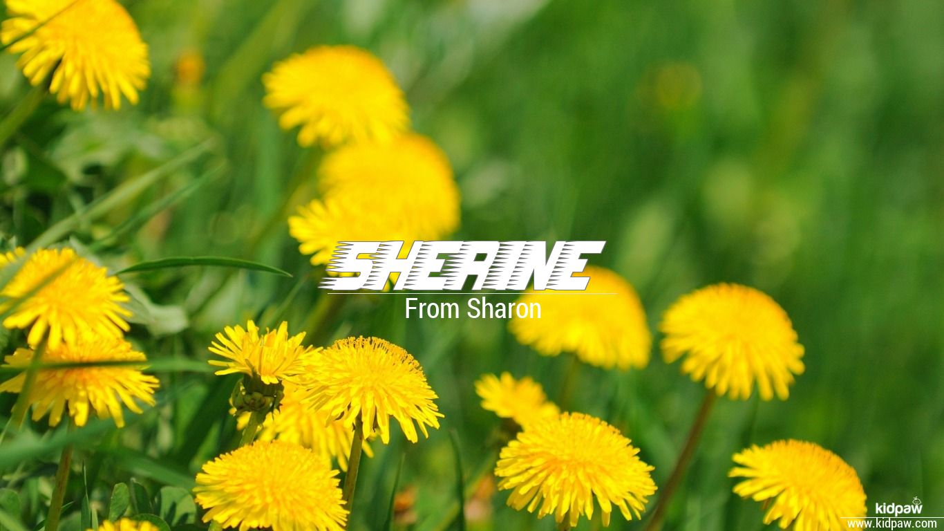 Sherine 3D Name Wallpaper for Mobile, Write Name on Photo Online