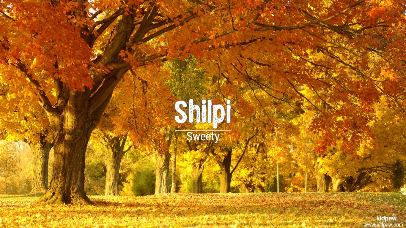Shilpi 3D Name Wallpaper for Mobile, Write शिल्पी Name on Photo Online