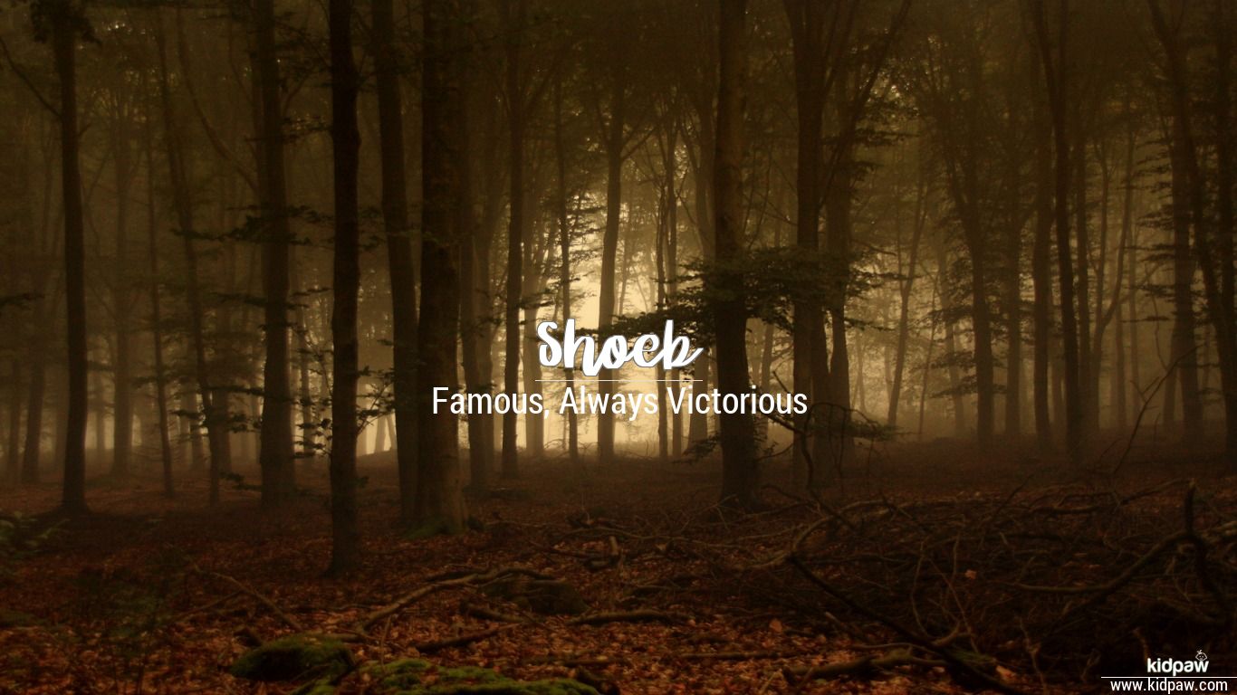 Shoeb 3D Name Wallpaper for Mobile, Write Name on Photo Online