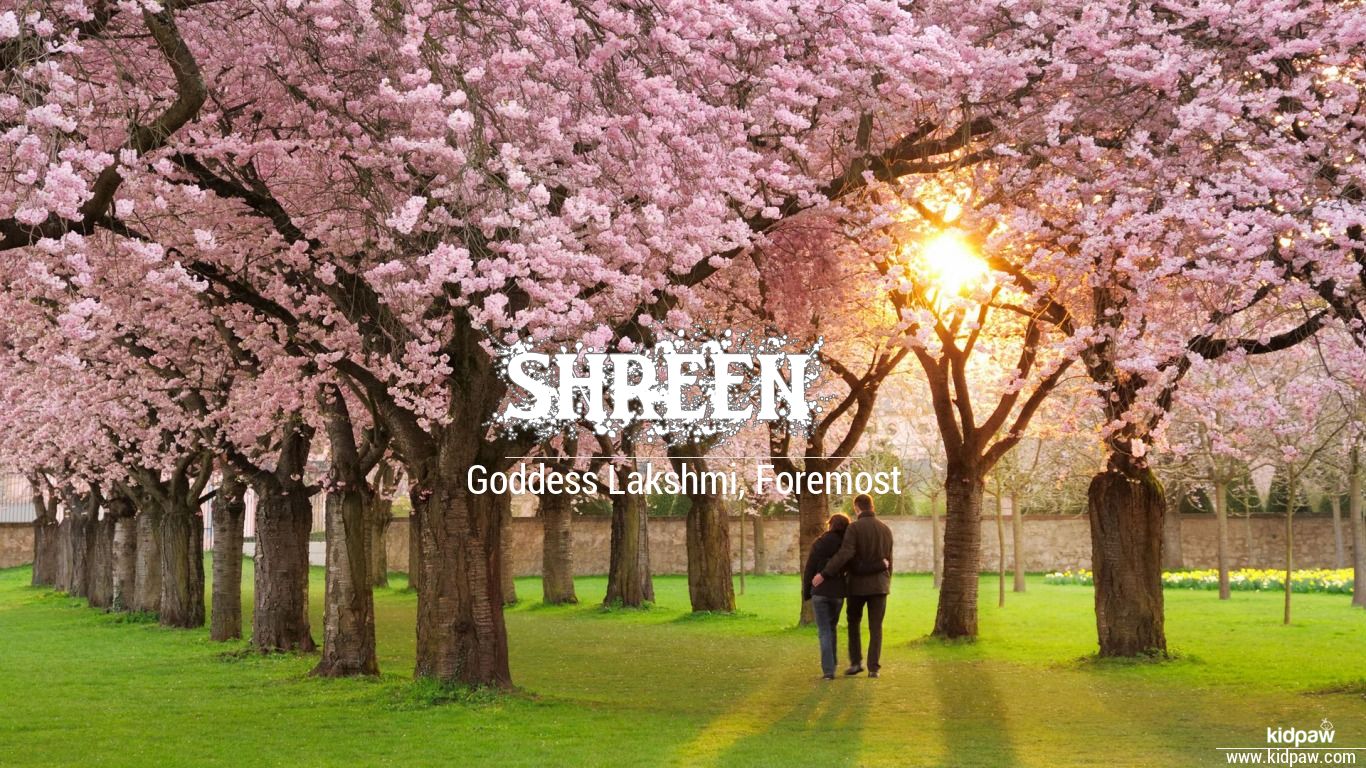 Shreen 3D Name Wallpaper for Mobile, Write श्रीन Name on Photo Online