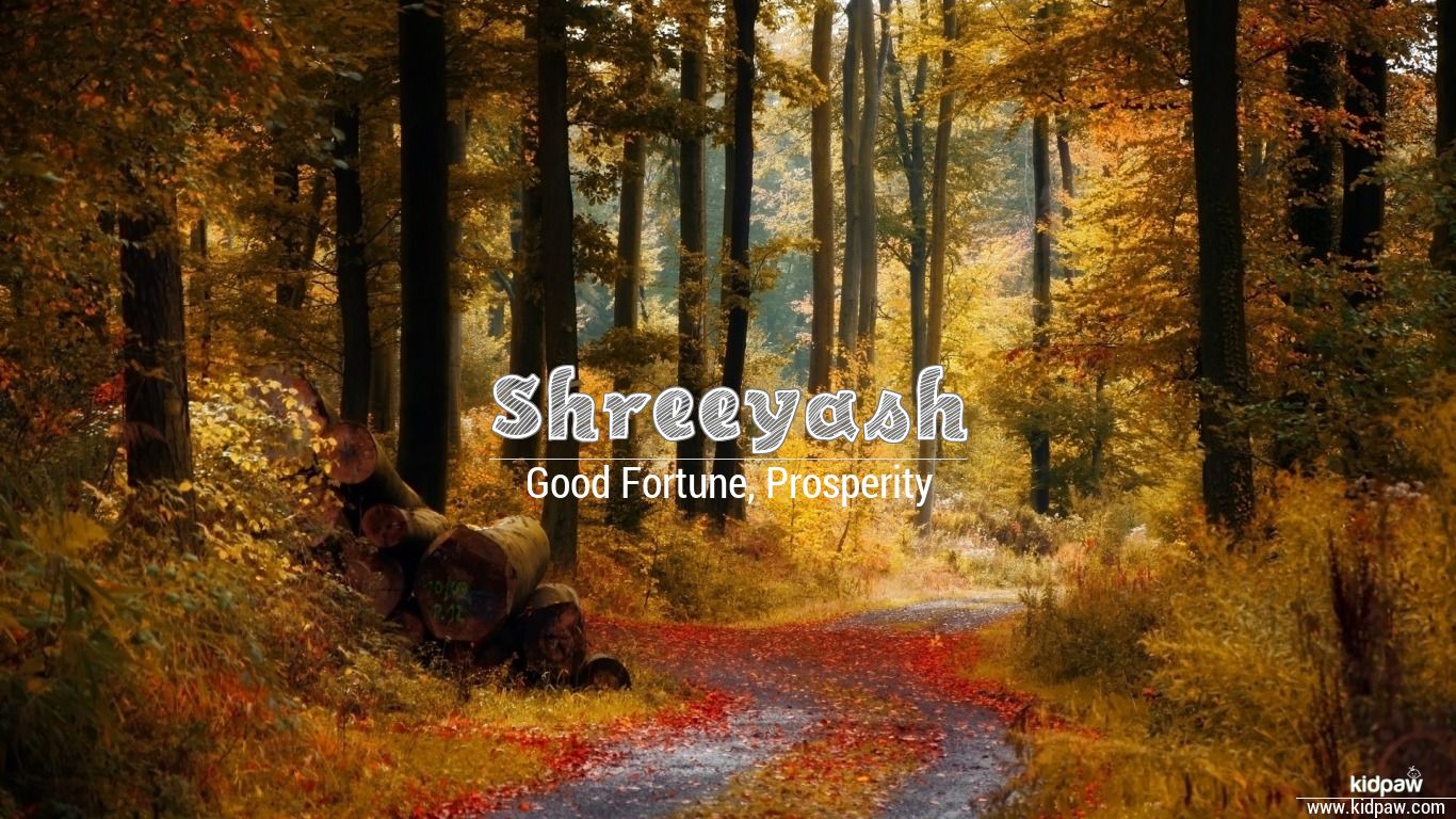 Shreeyash 3D Name Wallpaper for Mobile, Write श्रेयश Name on Photo Online