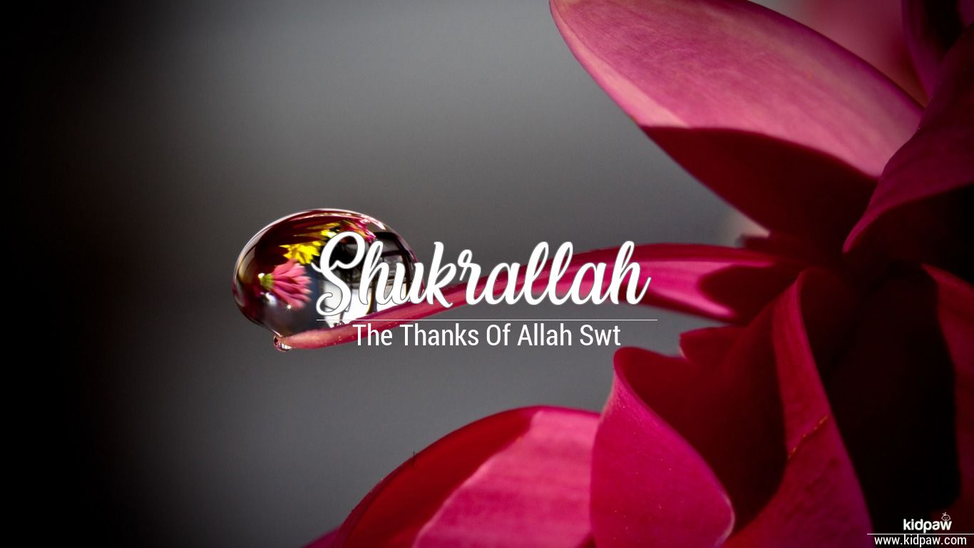 Shukrallah 3D Name Wallpaper for Mobile, Write شکراللہ Name on Photo Online