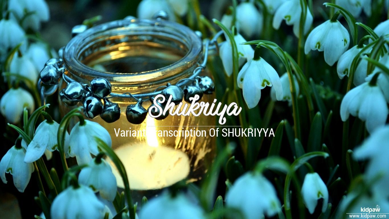 Shukriya 3D Name Wallpaper for Mobile, Write شکریہ Name on Photo Online