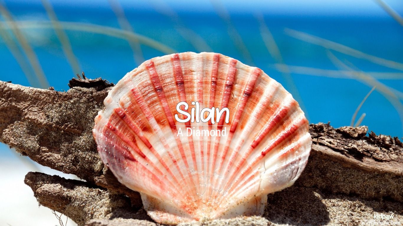 Silan Name Meaning in English & Urdu, Origin, Luck Number