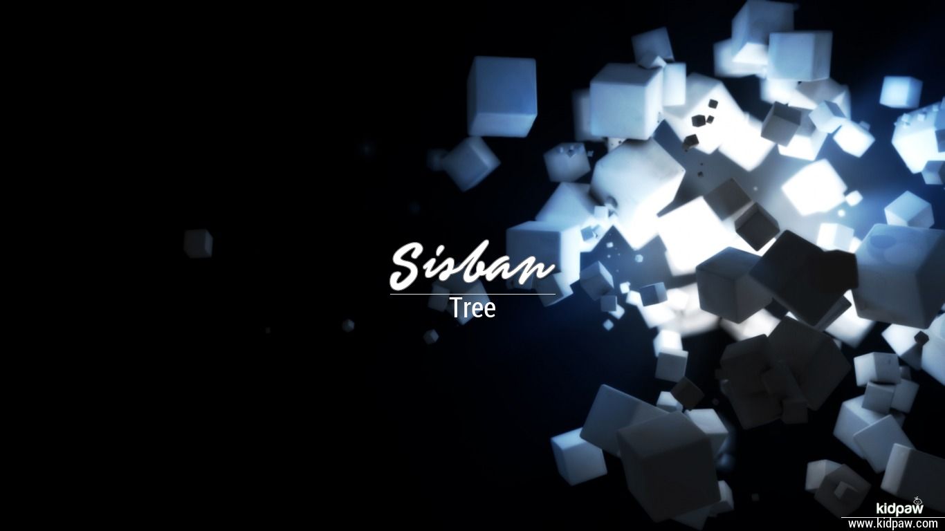 Sisban 3D Name Wallpaper for Mobile, Write سيسبان Name on Photo Online