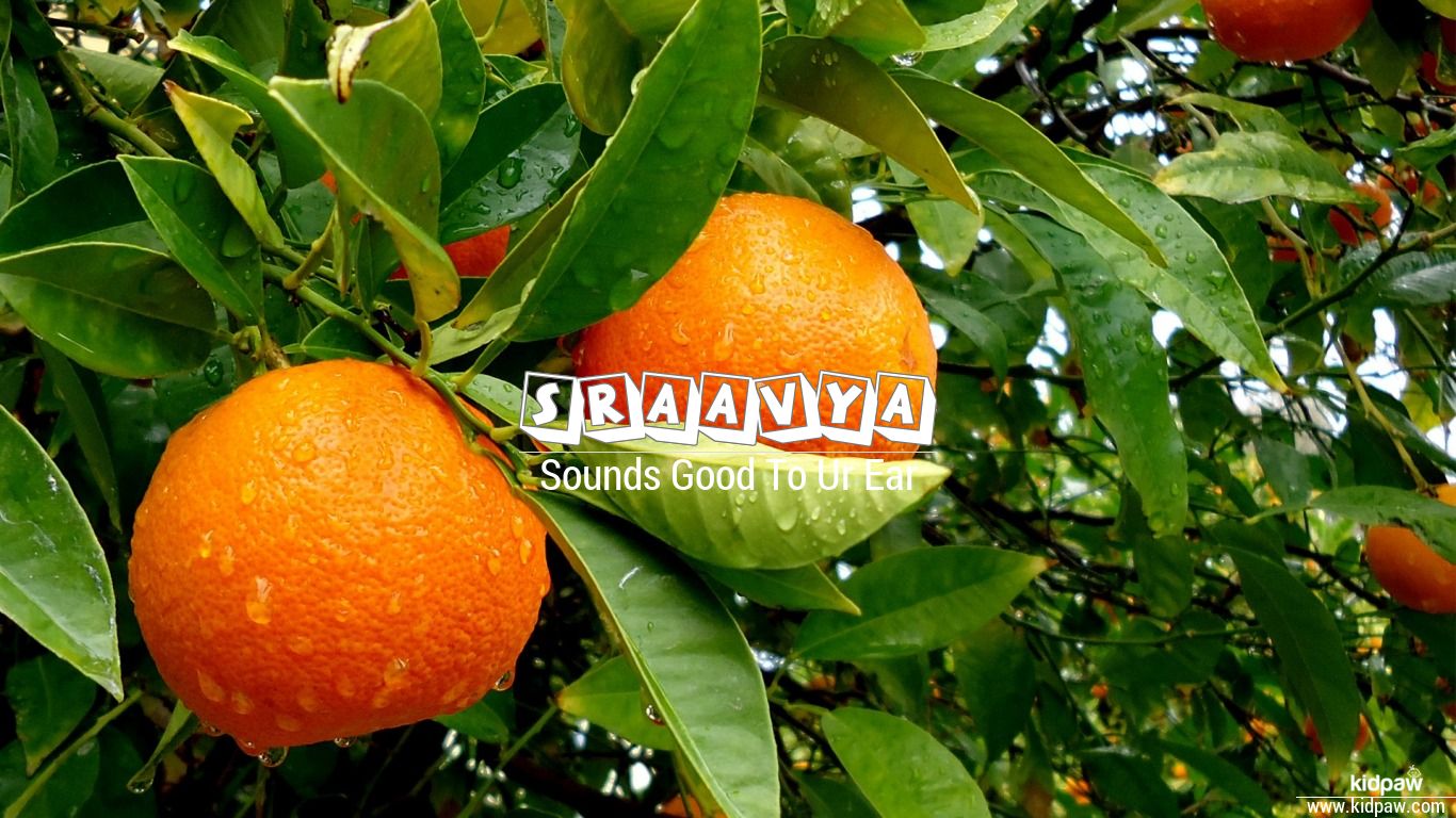 Sraavya 3D Name Wallpaper for Mobile, Write श्राव्य Name on Photo Online