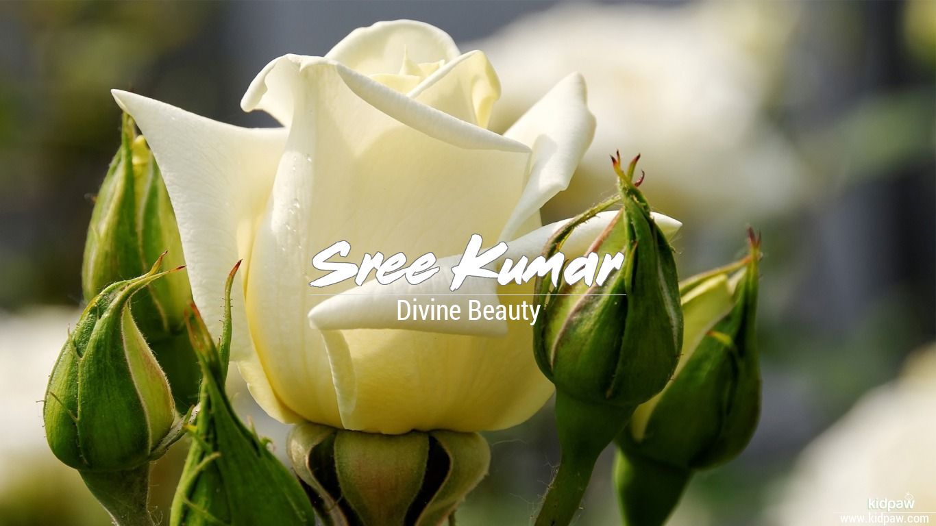 श्री कुमार | Sree Kumar Name Meaning in Hindi & English, Rashi, Nakshatra, Origin, Lucky Number