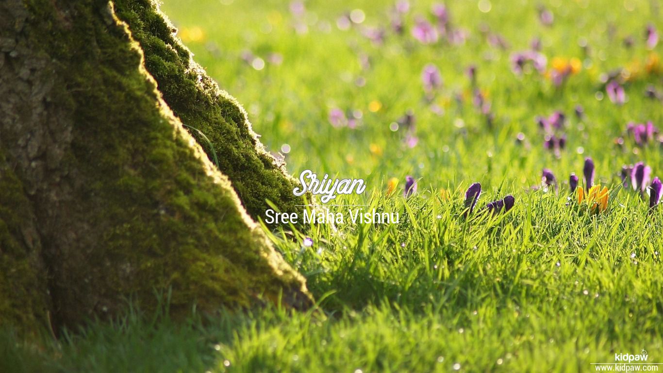 Sriyan 3D Name Wallpaper for Mobile, Write श्रीयान Name on Photo Online