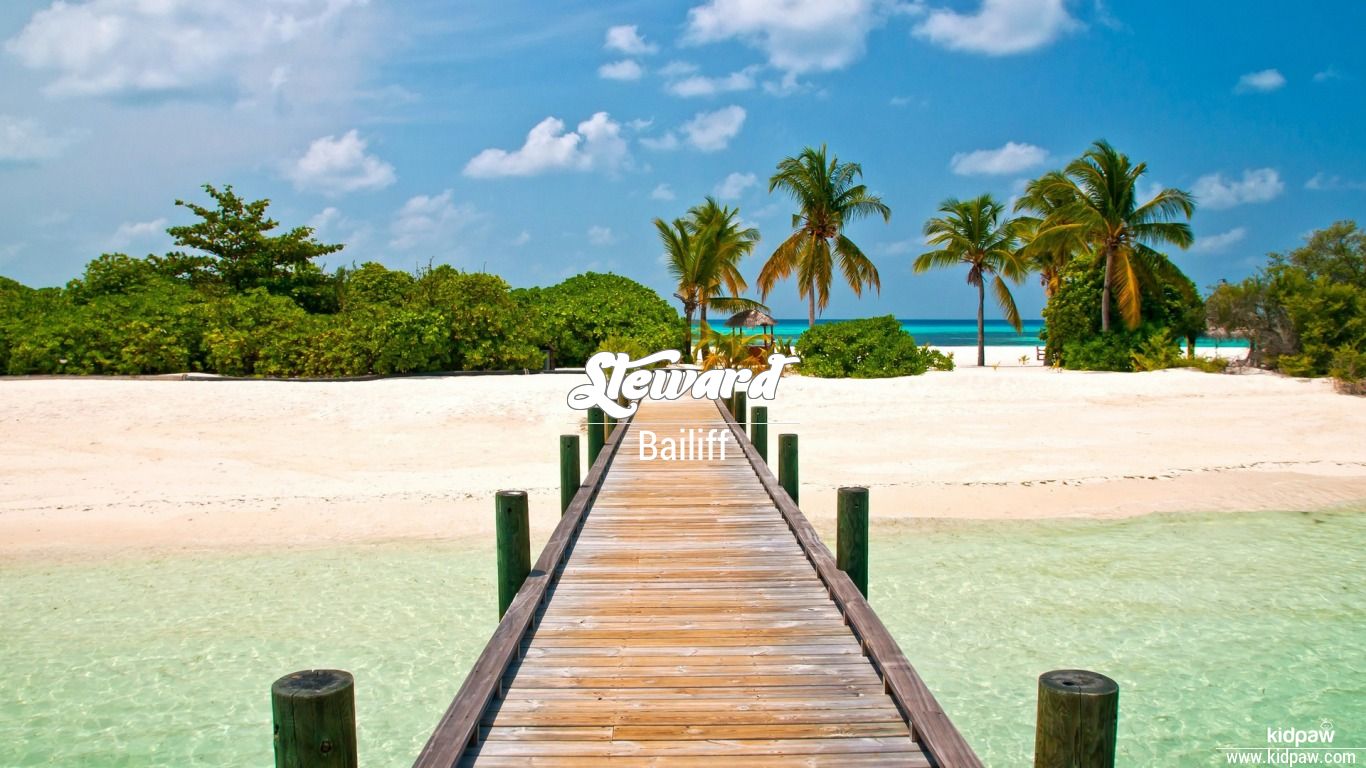 Steward 3D Name Wallpaper for Mobile, Write Name on Photo Online