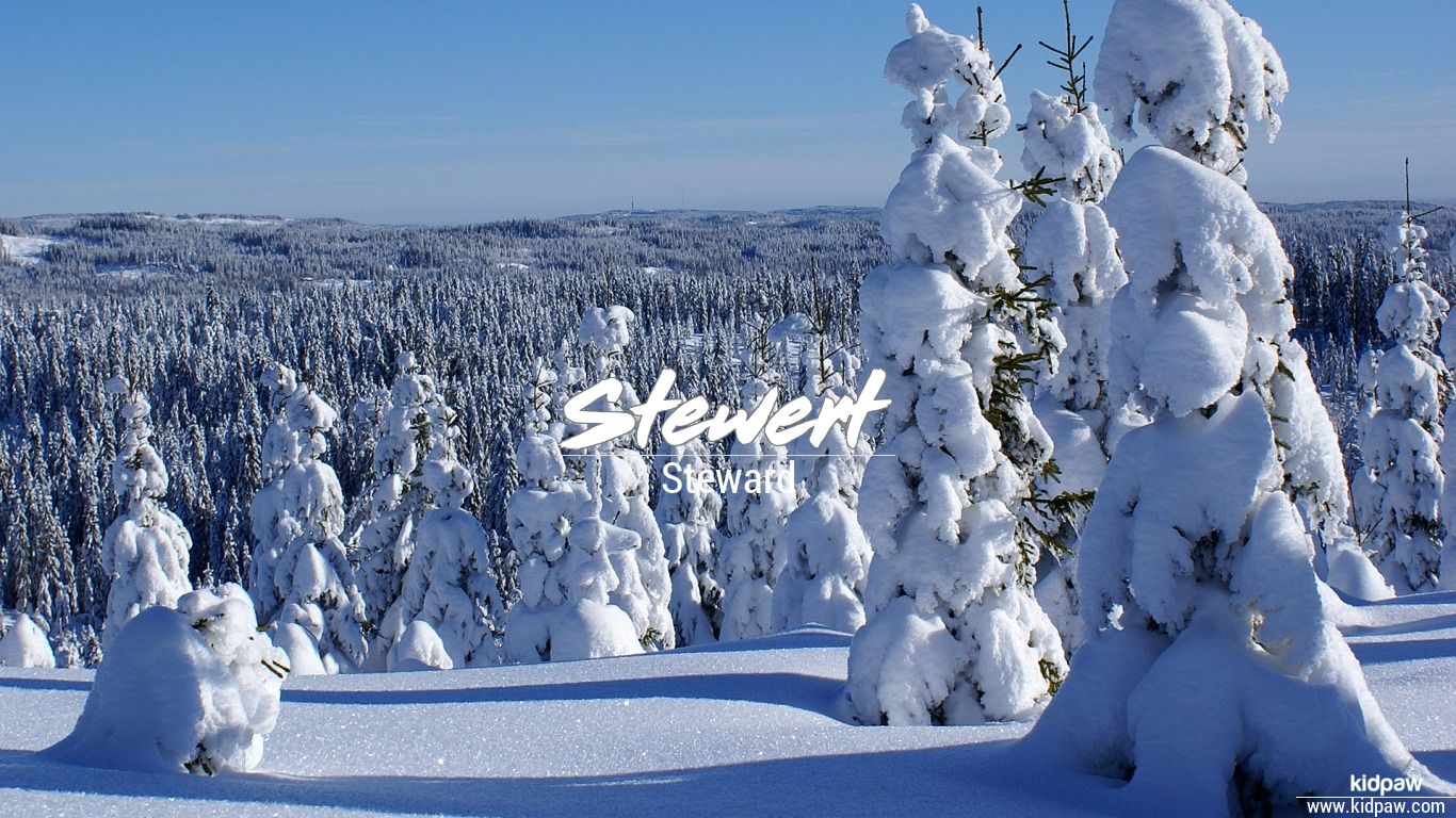 Stewert 3D Name Wallpaper for Mobile, Write Name on Photo Online