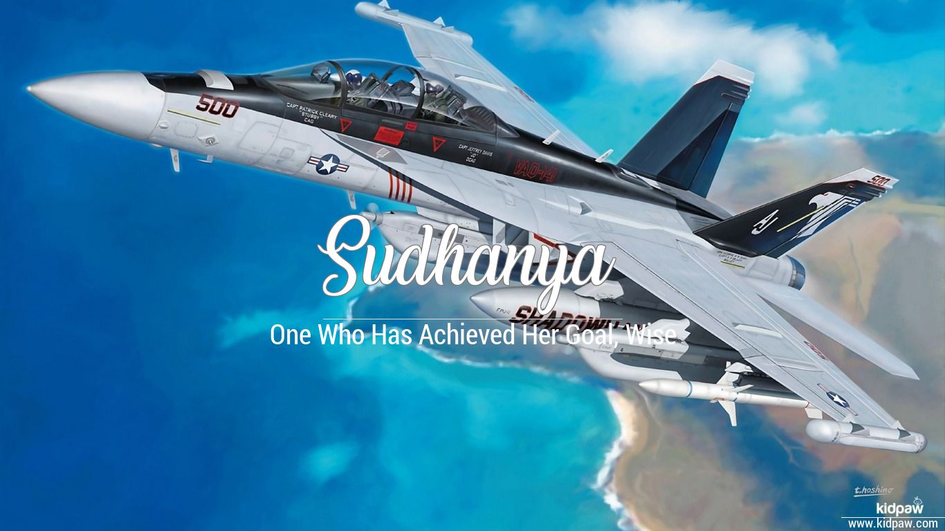 सुधन्य | Sudhanya Name Meaning in Hindi & English, Rashi, Nakshatra, Origin, Lucky Number