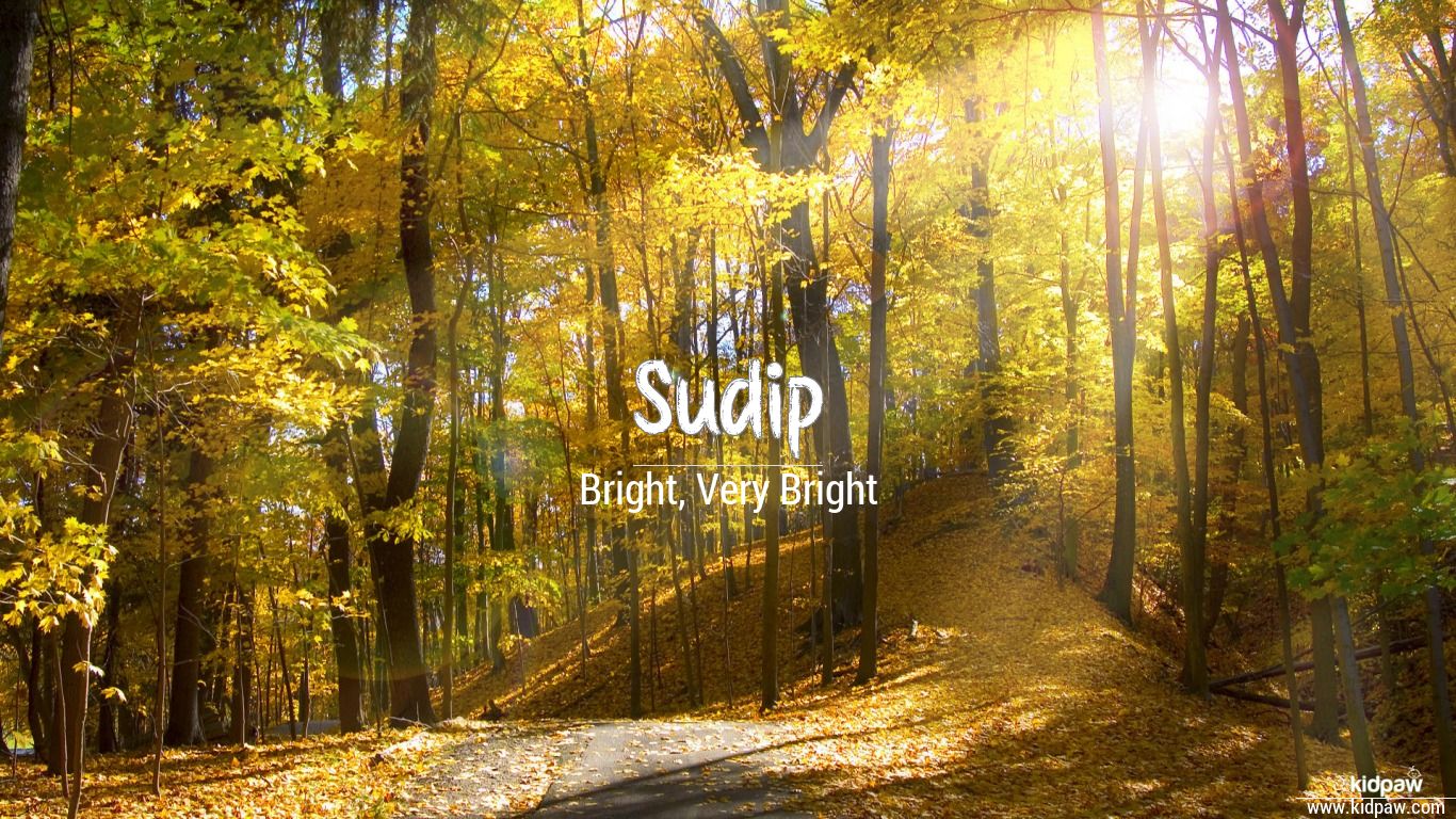 Sudip 3d Name Wallpaper For Mobile Write सुदीप Name On Photo Online