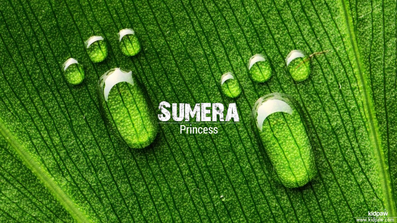 Sumera Name Meaning in English & Urdu, Origin, Luck Number