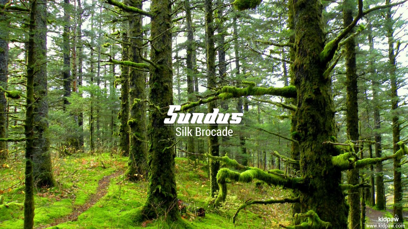 Sundus Name Meaning in English & Urdu, Origin, Luck Number