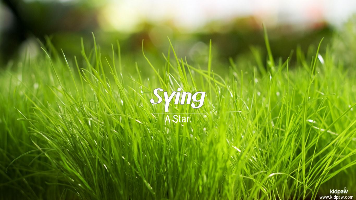 Sying 3D Name Wallpaper for Mobile, Write Name on Photo Online