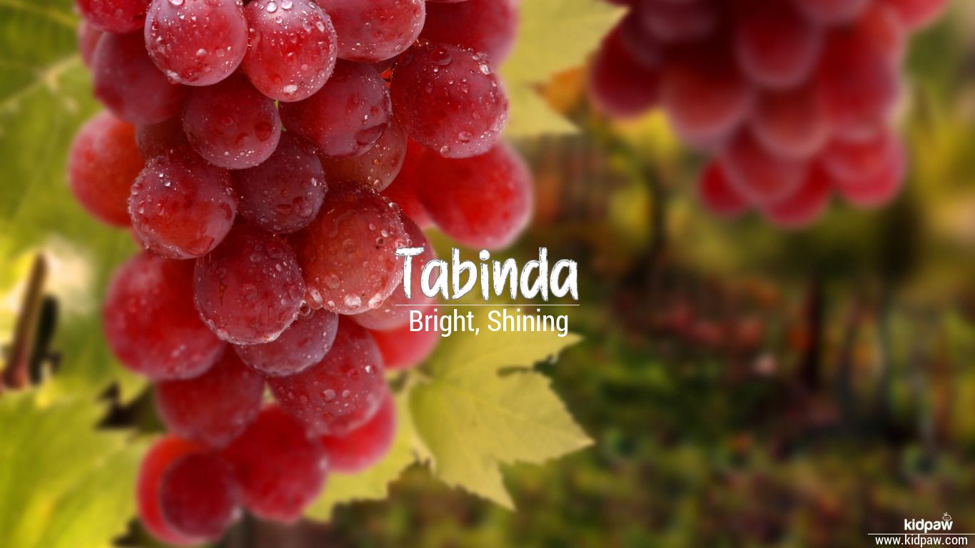 Tabinda Name Meaning in English & Urdu, Origin, Luck Number