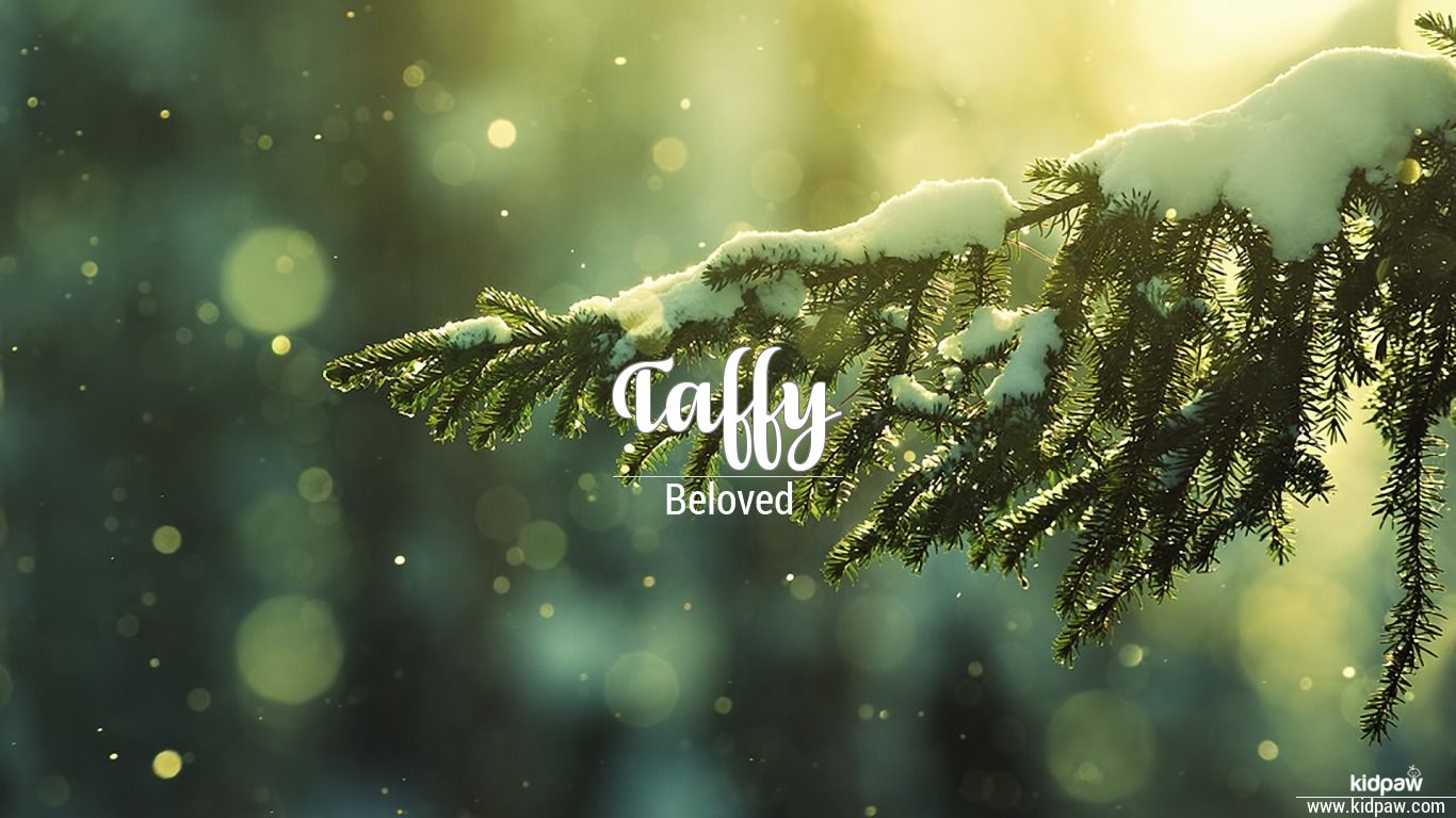 Taffy 3D Name Wallpaper for Mobile, Write Name on Photo Online