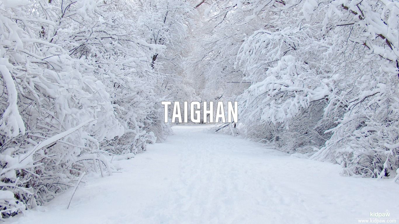 Taighan 3D Name Wallpaper for Mobile, Write Name on Photo Online