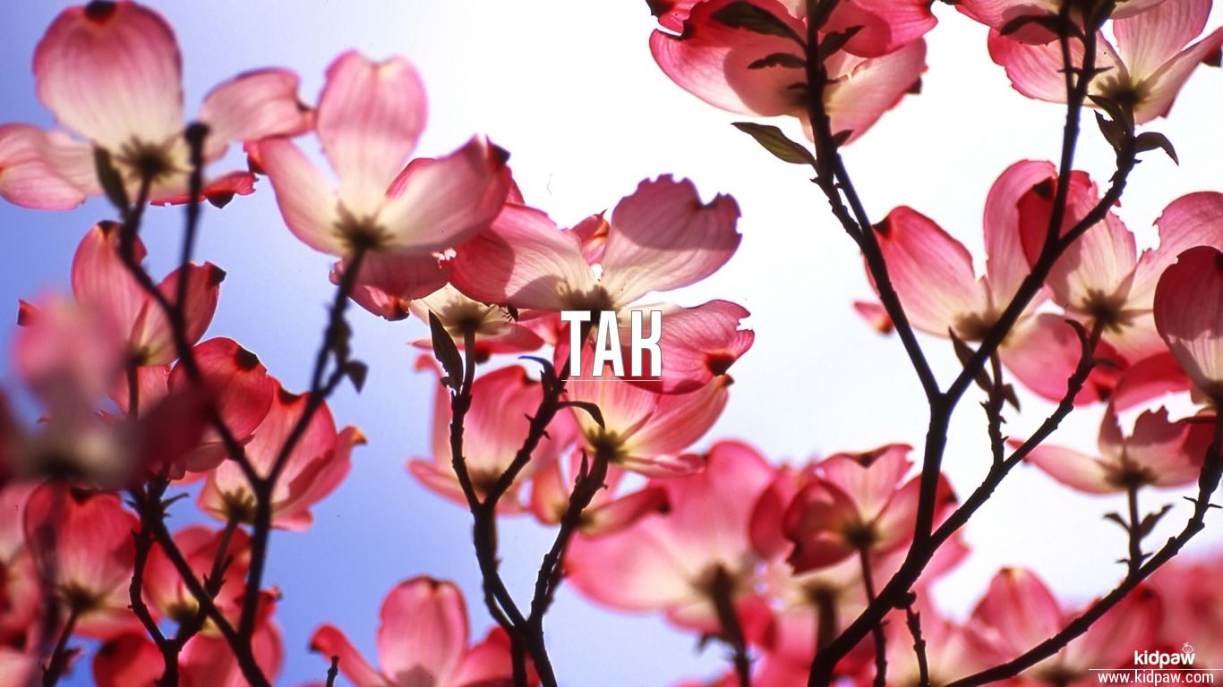 Tak Name Meaning in Urdu نام کی تفصیل، لکی نمبر