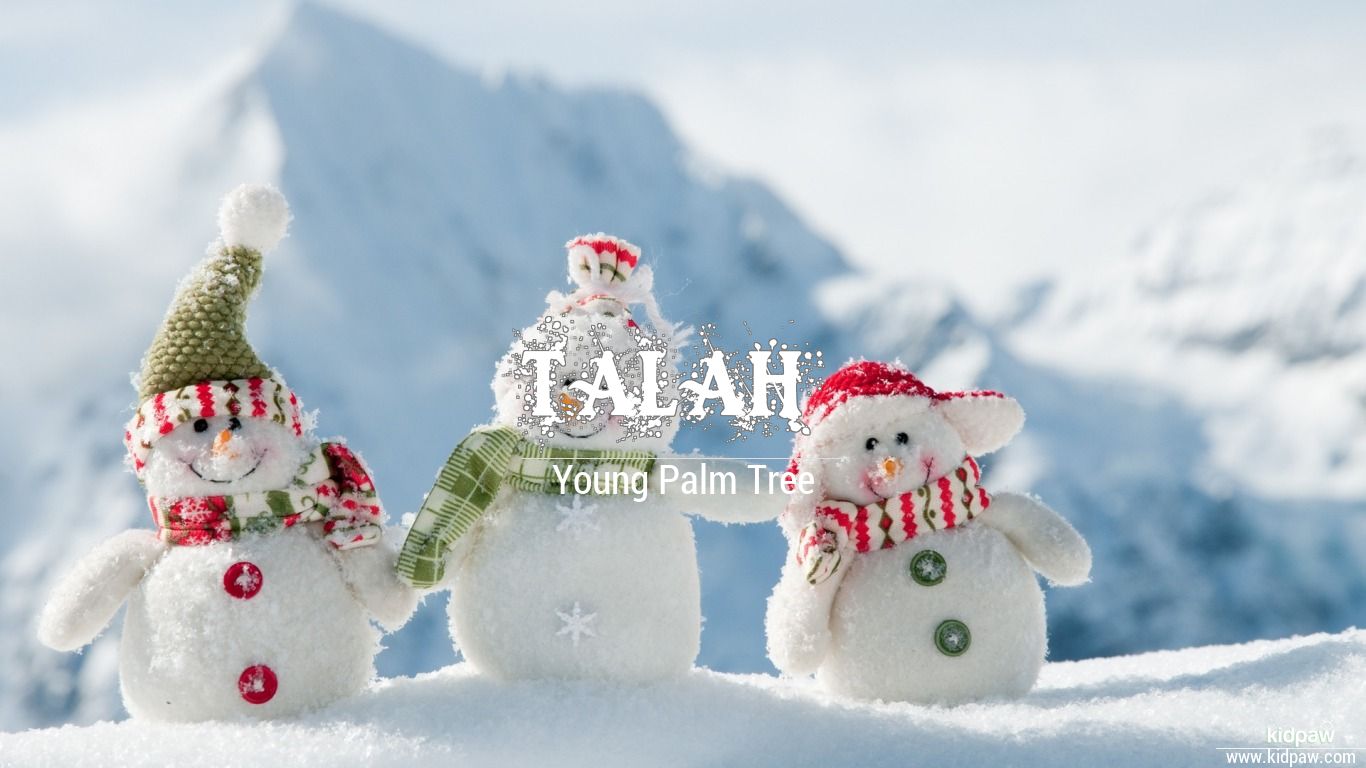 Talah 3D Name Wallpaper for Mobile, Write تالہ Name on Photo Online
