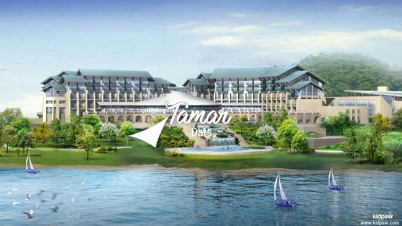 Tamar 3D Name Wallpaper for Mobile, Write تمر Name on Photo Online