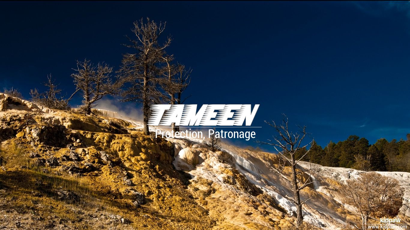 Tameen Name Meaning in English & Urdu, Origin, Luck Number