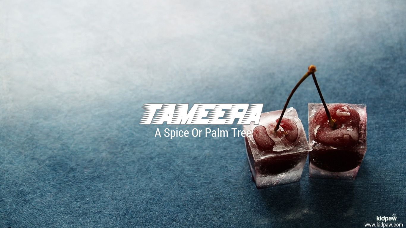 Tameera 3D Name Wallpaper for Mobile, Write Name on Photo Online