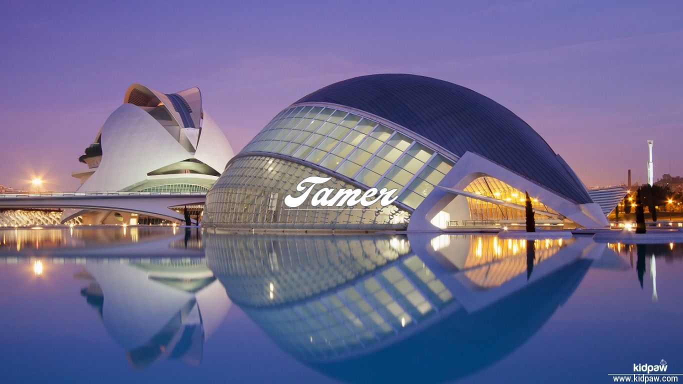 Tamer 3D Name Wallpaper for Mobile, Write Name on Photo Online